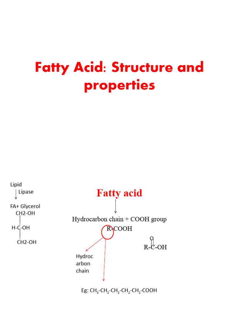 Fatty Acid Structure and Classification Guide | PDF | Lipid | Triglyceride