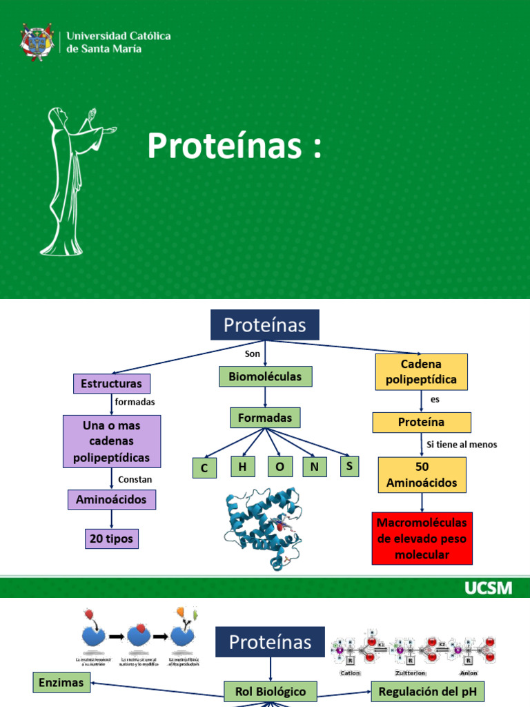 Práctica 3 Proteínas | PDF | Proteínas | Biología