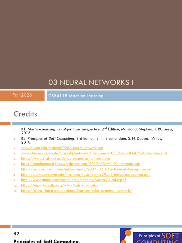 03 NeuralNetworksI | PDF | Neuron | Synapse