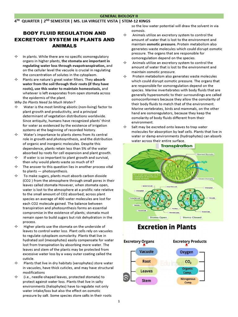 Body Fluid Regulation and Excretory System in Plants and Animals | PDF ...