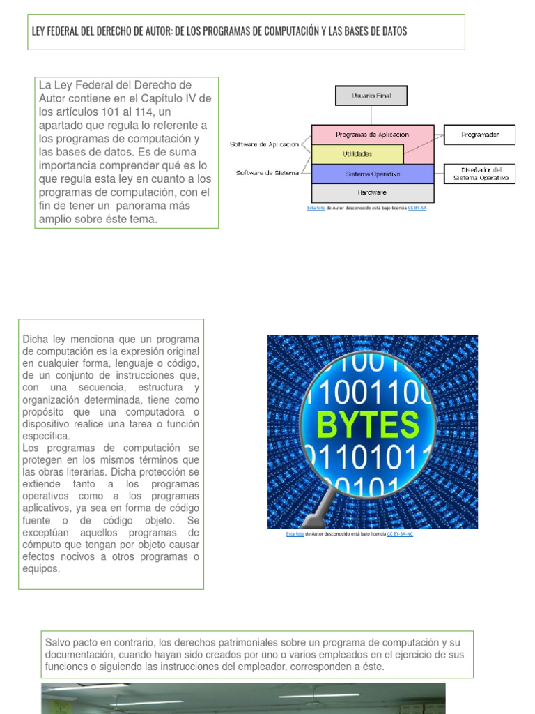 Los Programas de Computación y Las Bases de Datos | PDF | Programa de computadora | Programación