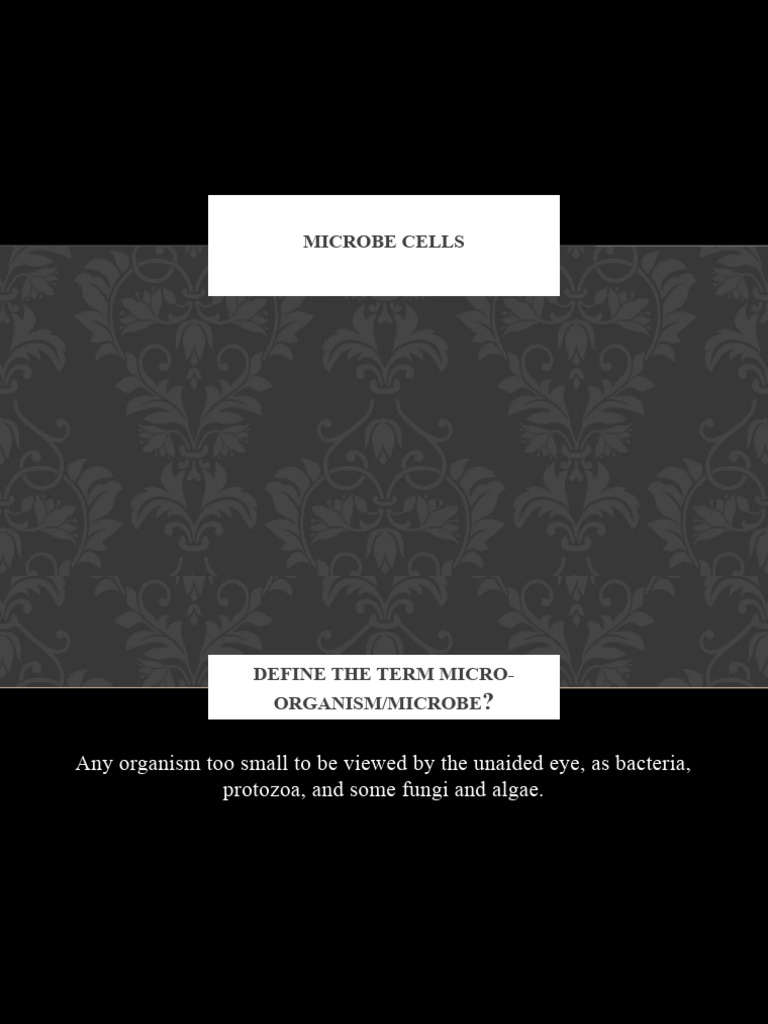 Microbe Cells Pdf Cell Biology Bacteria