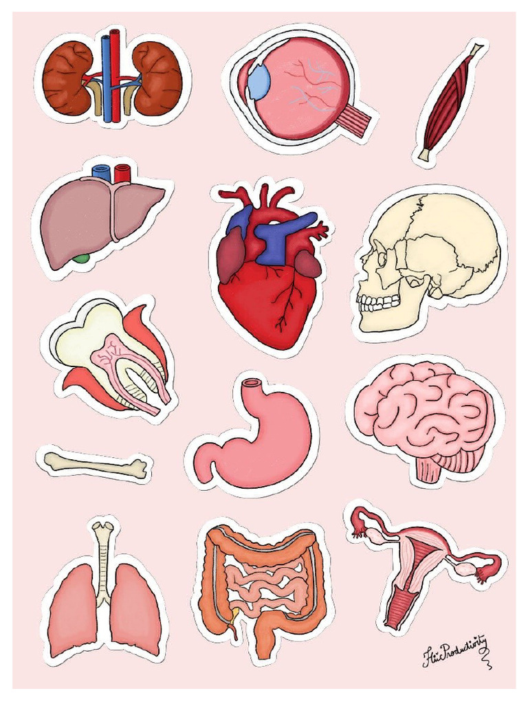 Medical Stickers Printables | PDF