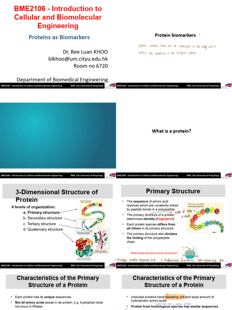Lecture 3 | PDF | Protein Structure | Denaturation (Biochemistry)