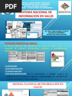 SNIS | PDF | Información | Vigilancia