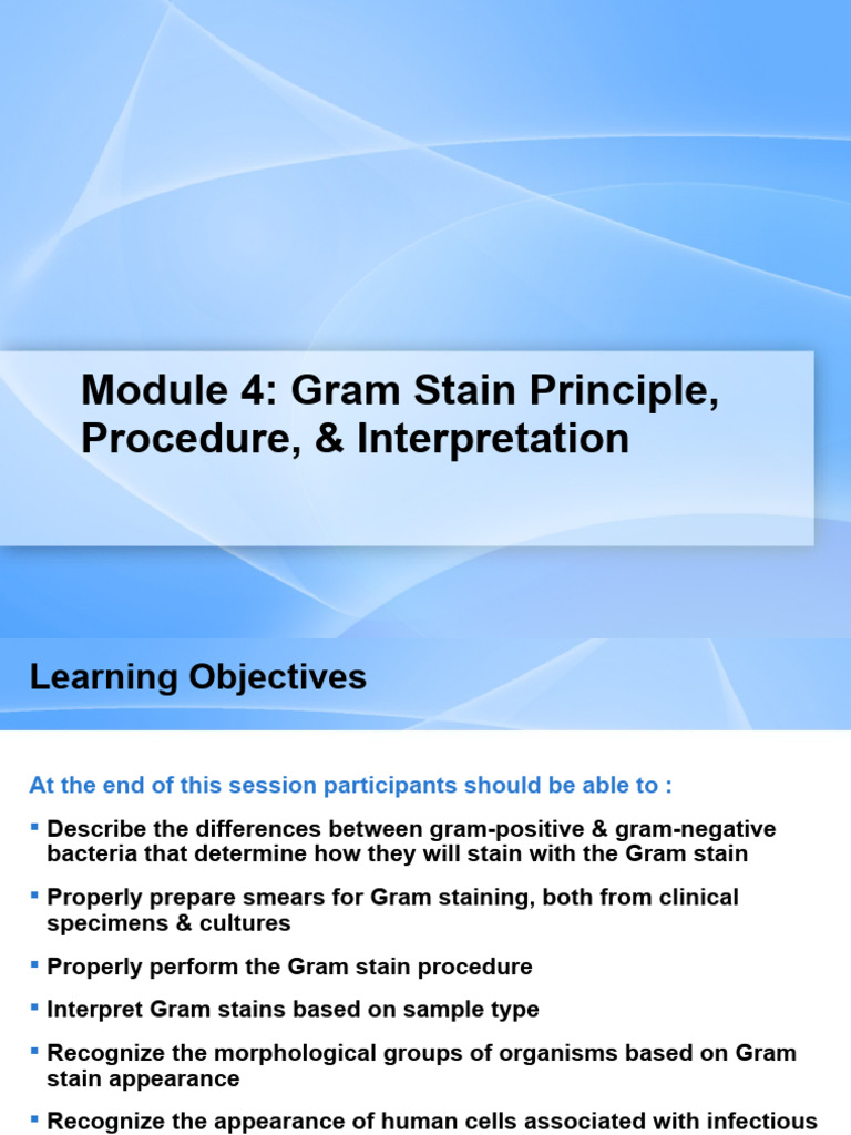 4 Participant - Gram Stain | PDF | Staining | Gram Positive Bacteria