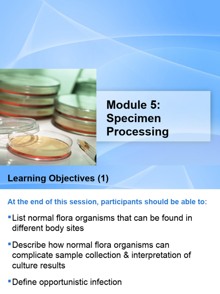 5 Specimen Processing | PDF | Pneumonia | Hospital Acquired Infection