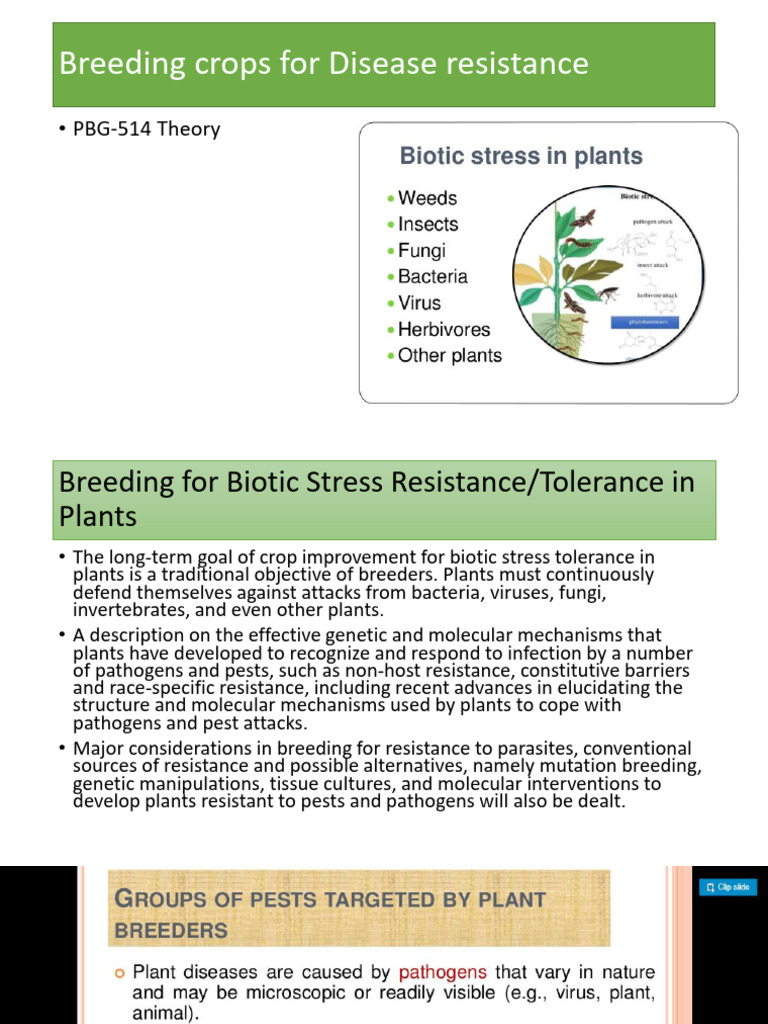 Lecture Breeding For Biotic Resistance - Disease Resistance | PDF ...