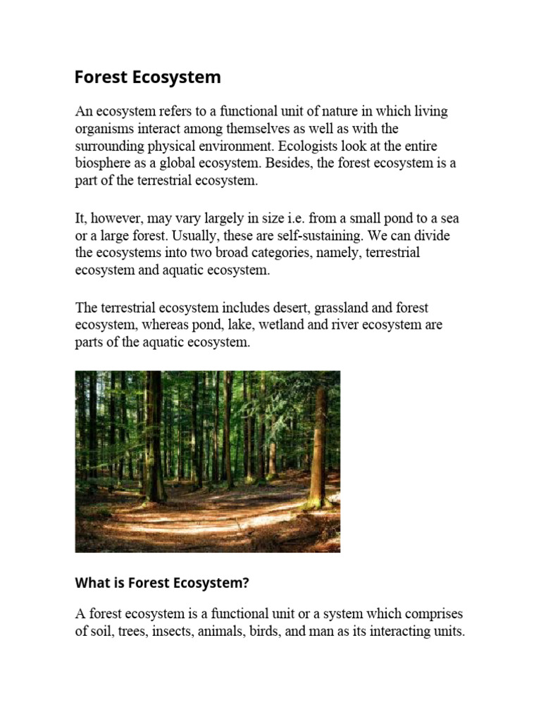 Forest Ecosystem | PDF | Ecosystem | Primary Production