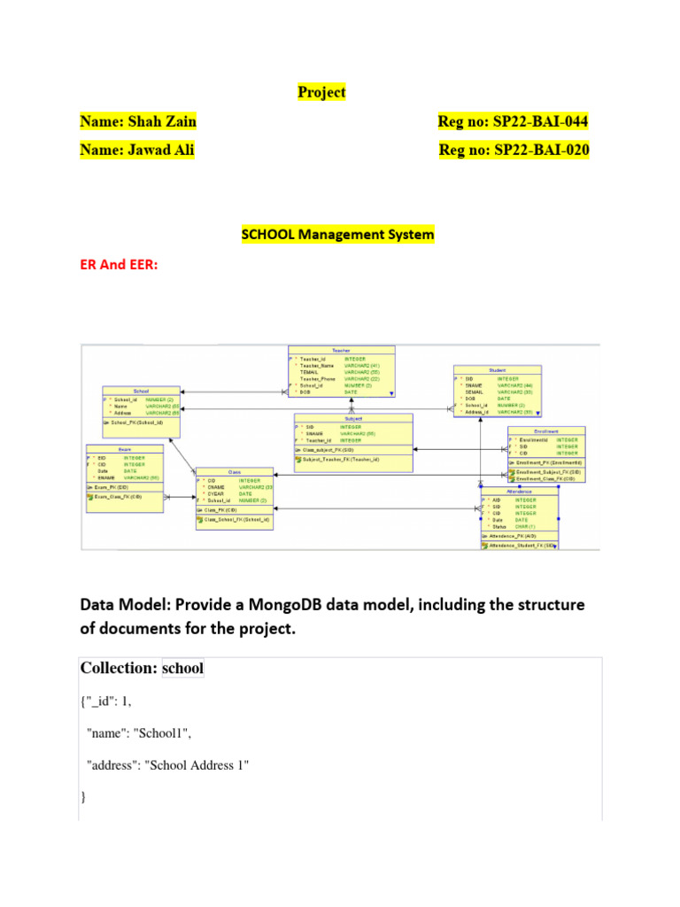 Shah Project | PDF | Data Management | Data Management Software