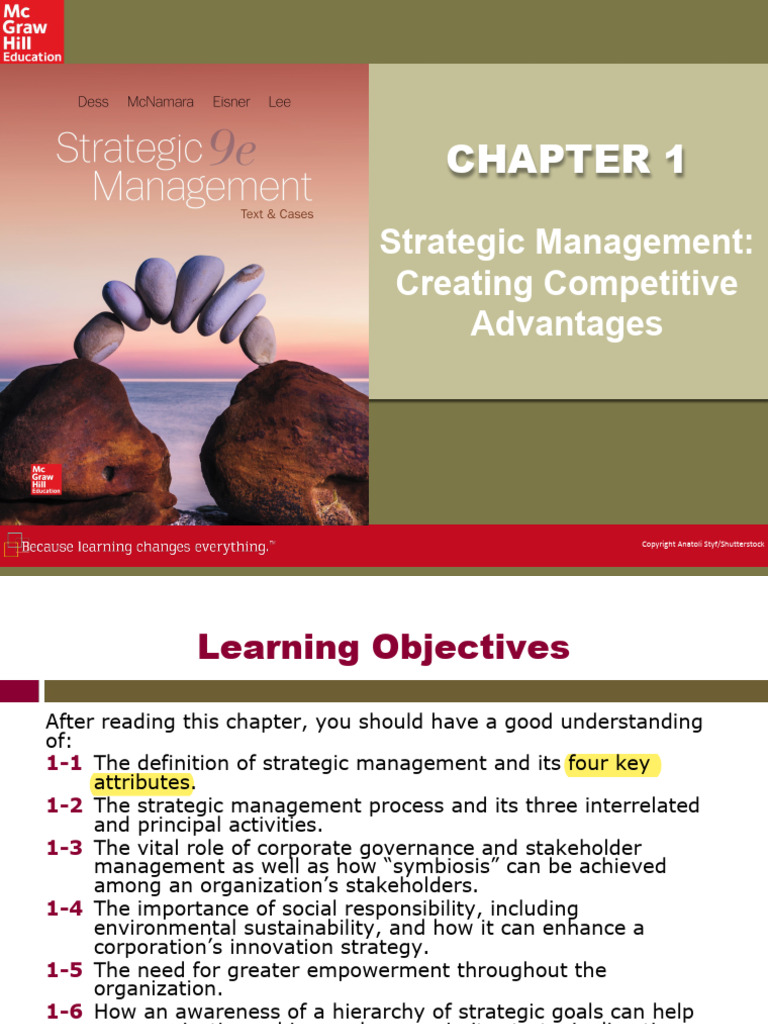 Chapter 1 | PDF | Strategic Management | Corporate Social Responsibility