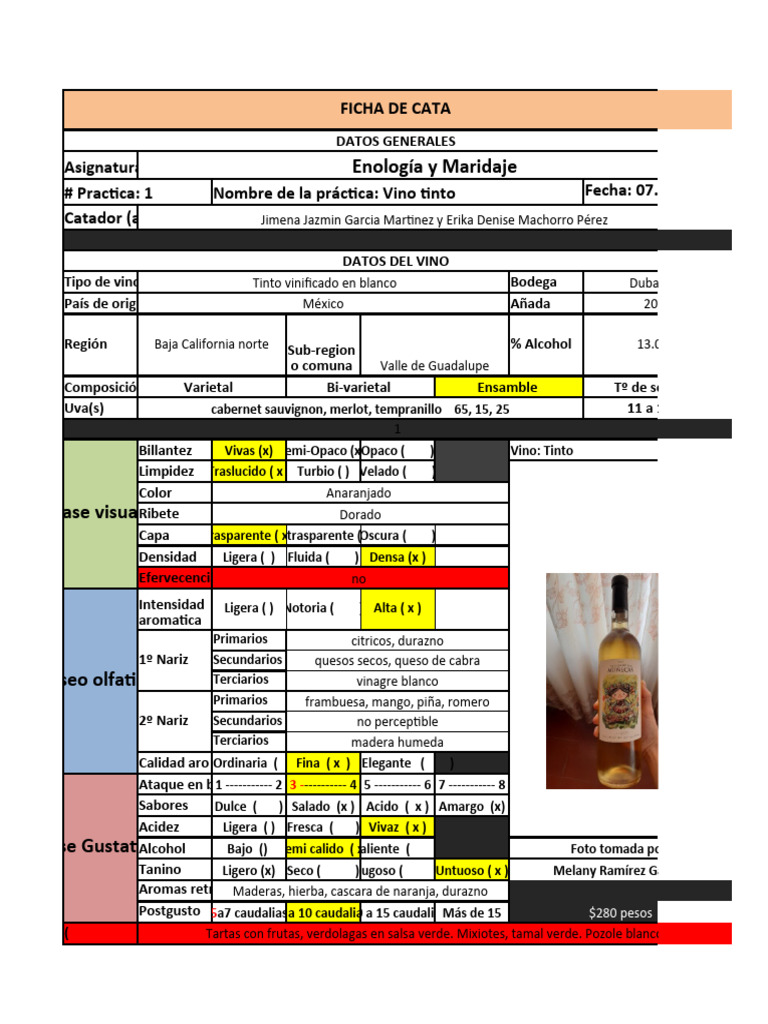 Ficha de Cata de Vinos 2020-2021 | PDF | Vino | Bebidas Fermentadas