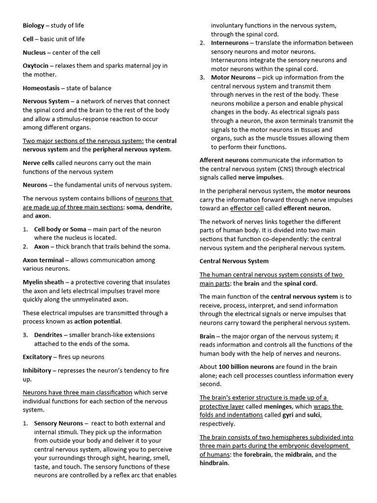 SCIENCE-REVIEWER | PDF | Nervous System | Central Nervous System