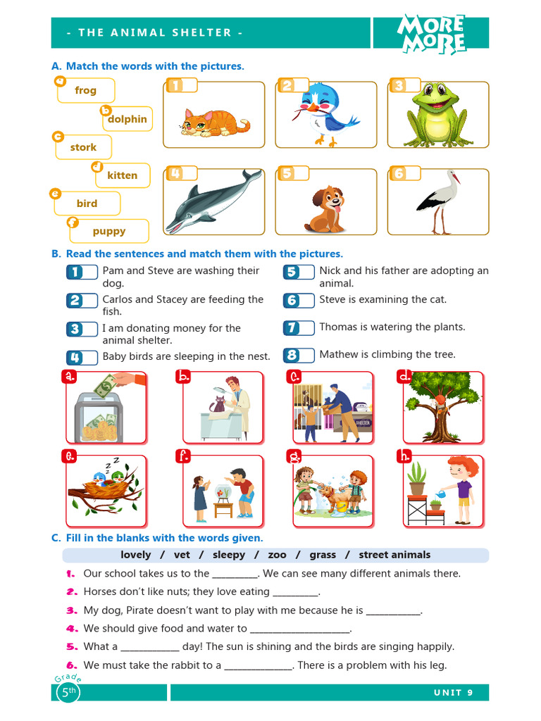 More & More Worksheet 5.9 | PDF | Zoology