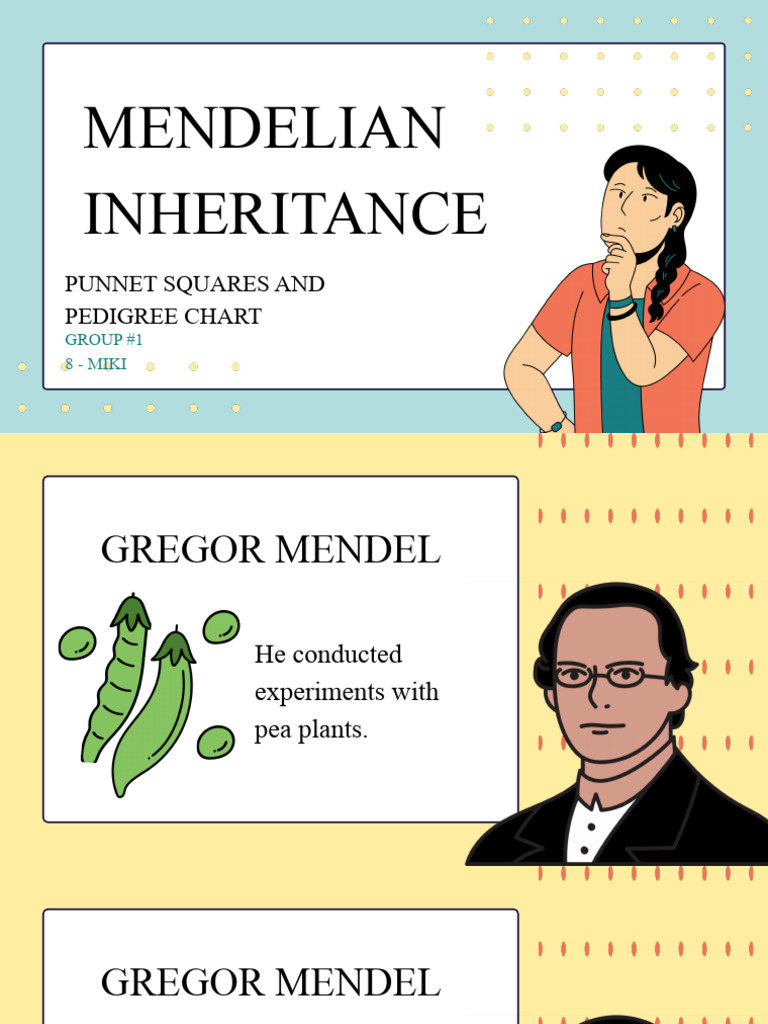 Mendelian Genetics: Punnett Squares & Pedigrees | PDF | Genotype ...