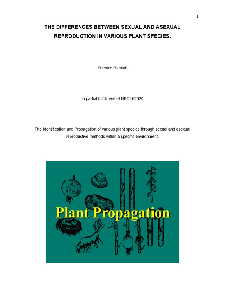NBOT62320 - Assignment 1 - Plant Propagation | PDF | Reproduction ...