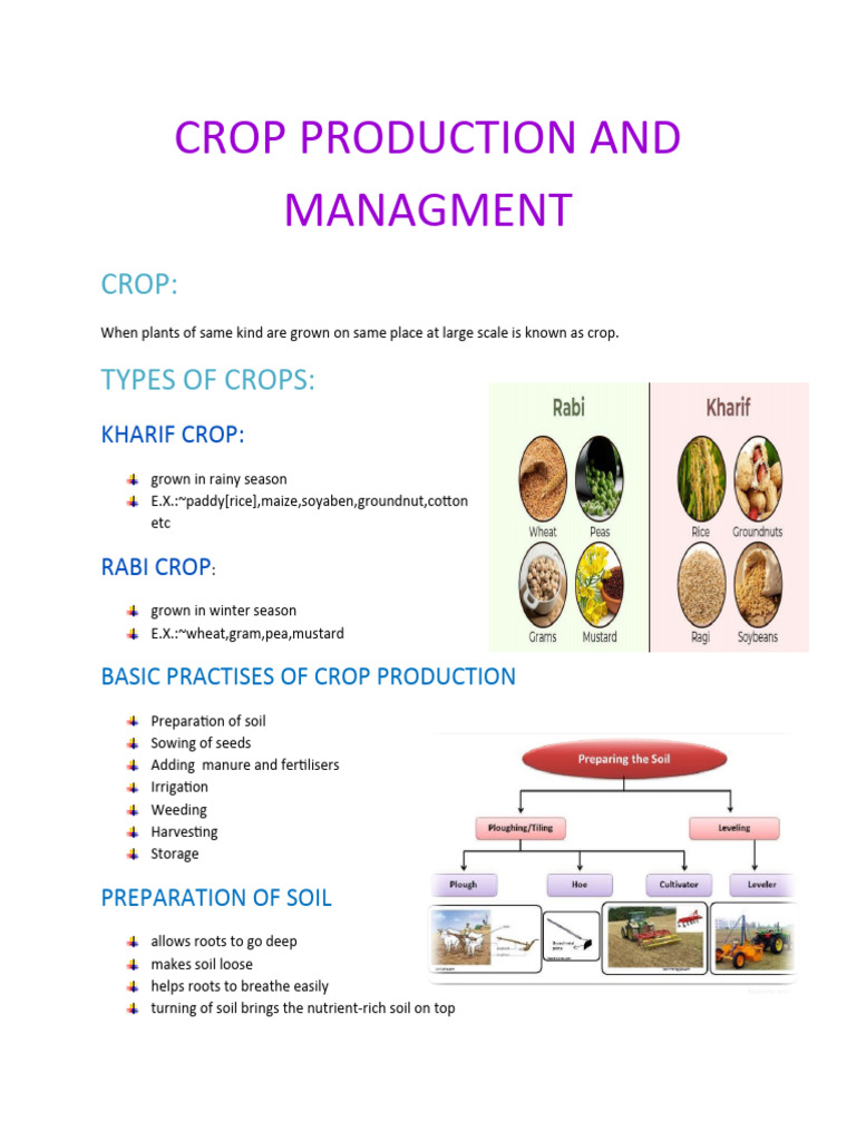 Crop Production and Managment | PDF | Soil | Fertilizer