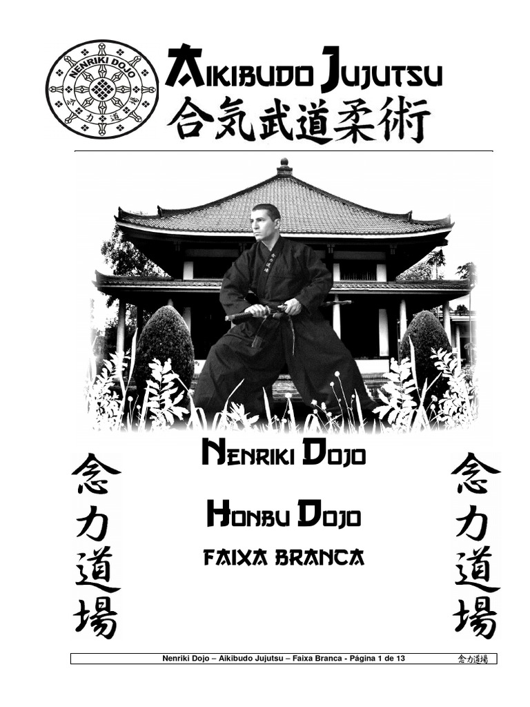 Aikibudo Jujutsu: Guia da Faixa Branca | PDF | Jiu-jitsu | Comunicação