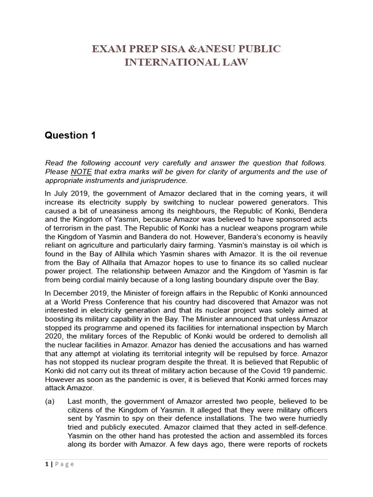 Exam Prep - Pil | PDF | International Criminal Court | Treaty