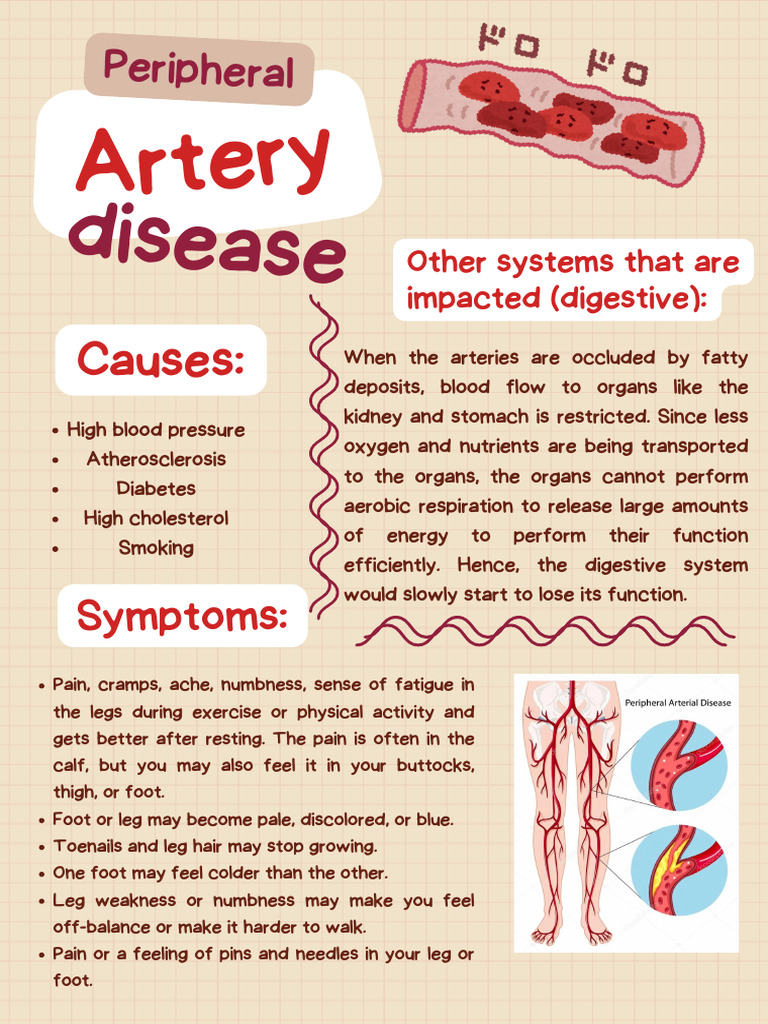Meredith Tan 3 Pollux WA2 2024 | PDF | Artery | Angiology