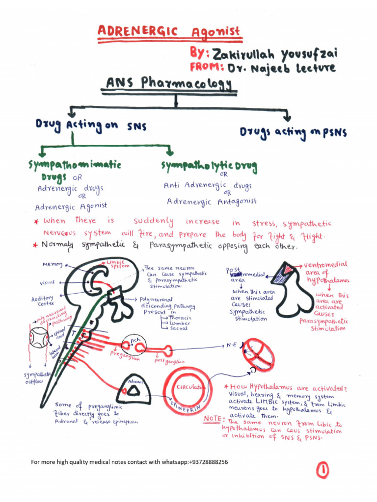 2 Adrenergic Agonist Drugs | PDF