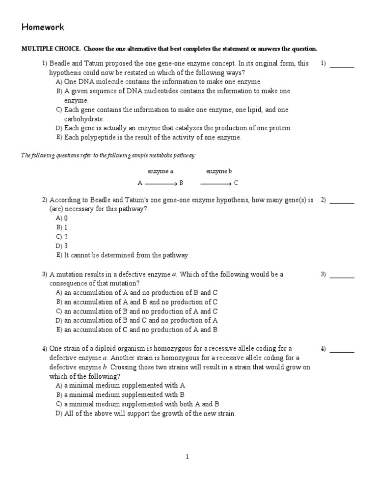 Transcription and Translation - Questions | Download Free PDF ...