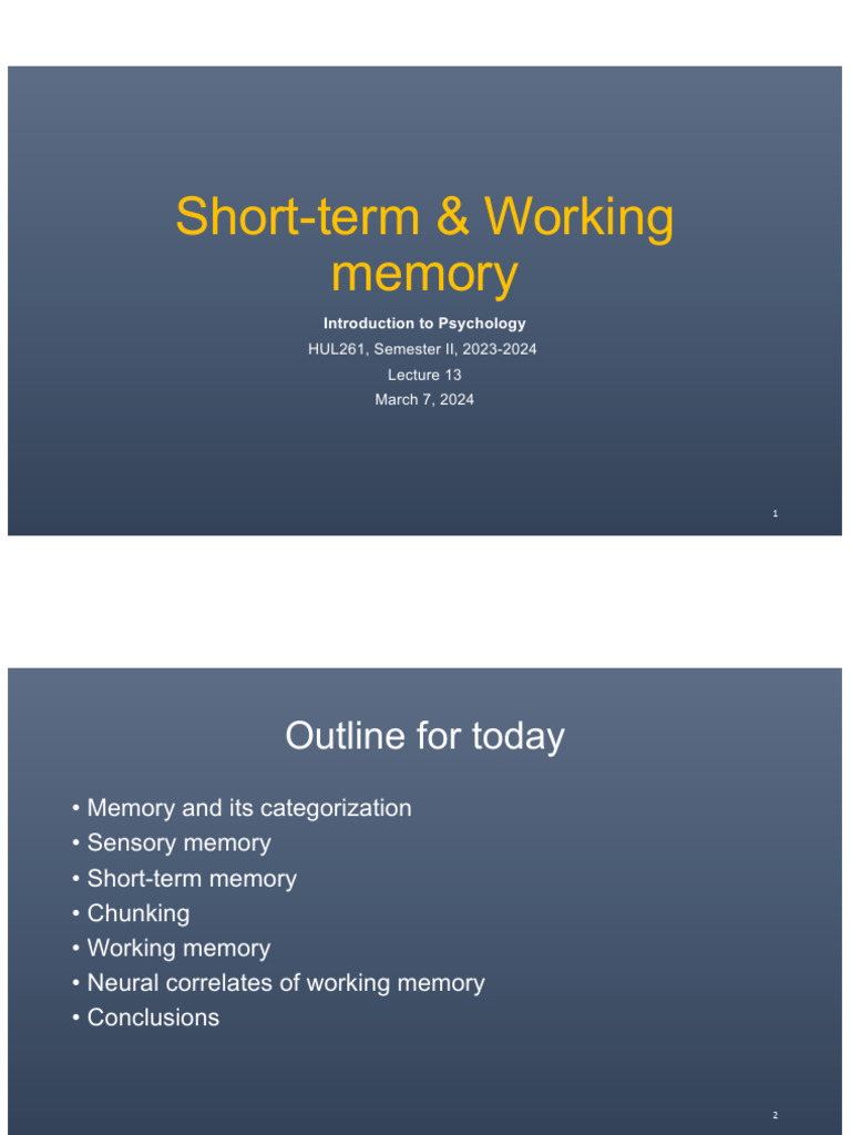 Lecture 13 | PDF | Memory | Perception