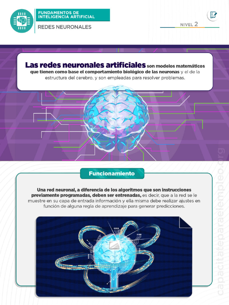 Redes Neuronales | PDF