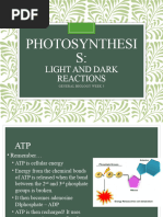 Photosynthesis: Key Concepts & Processes | PDF | Photosynthesis ...