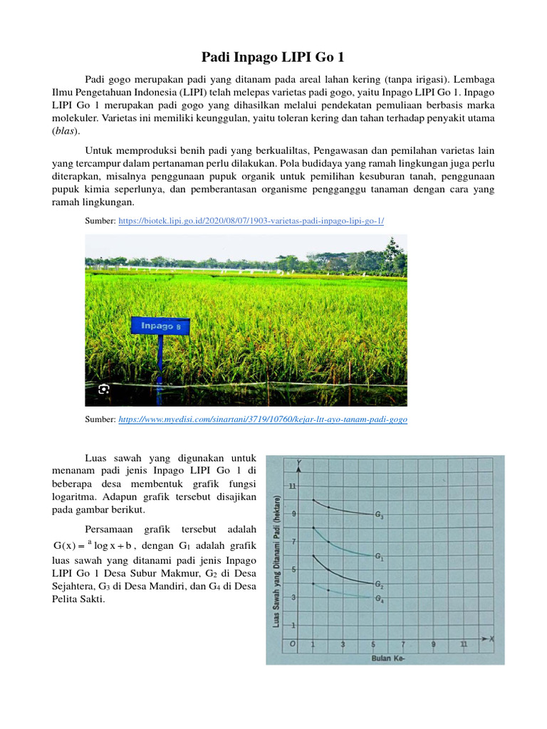 Padi Inpago LIPI Go 1 | PDF
