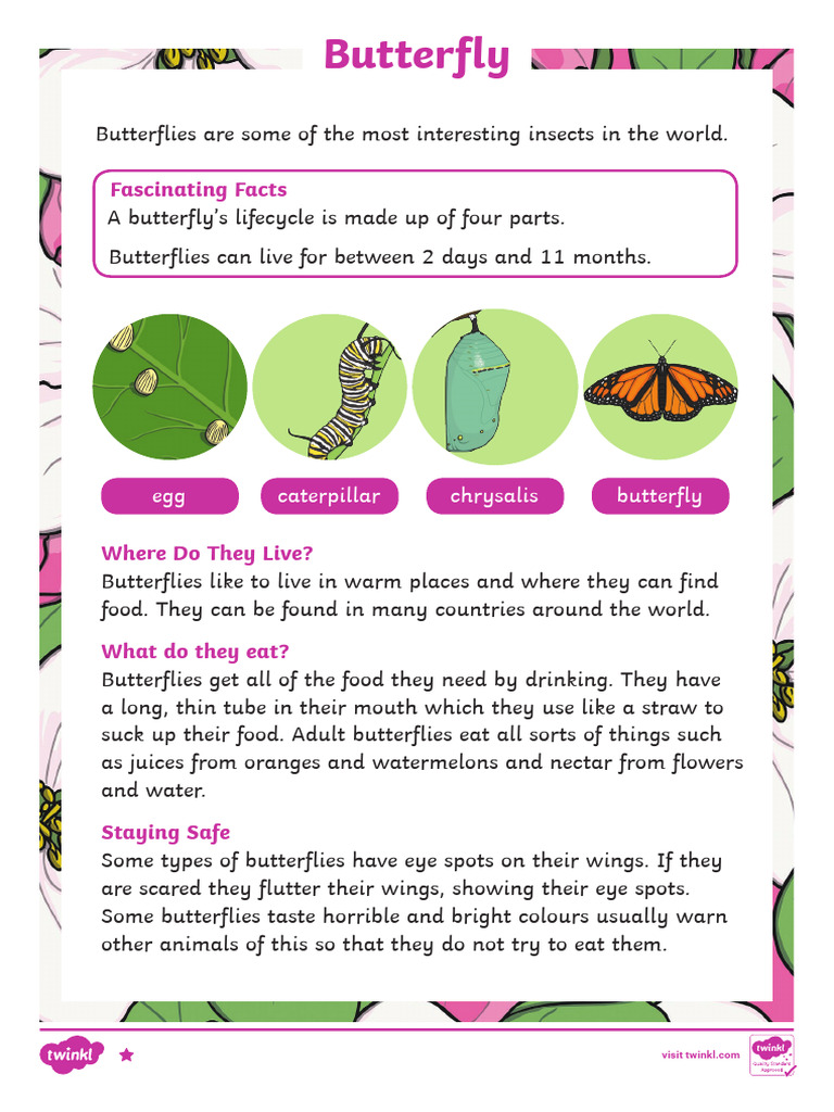 Butterfly Reading Comprehension Activity - Ver - 4 | PDF