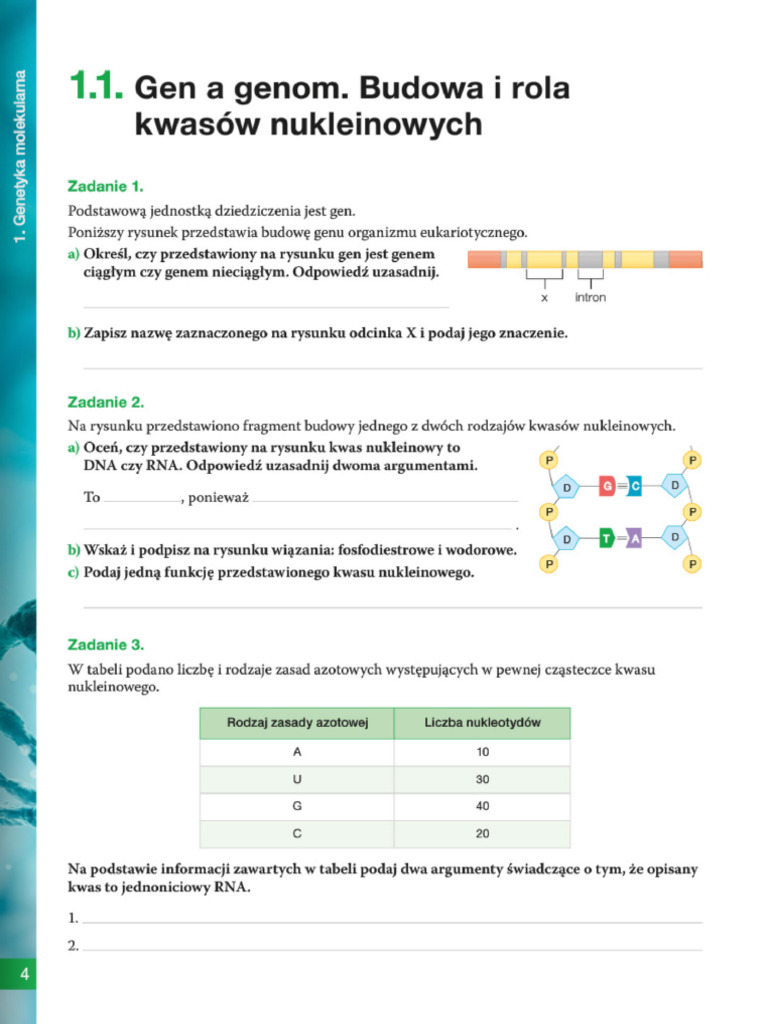 Genetyka Poziom Podstawowy | PDF