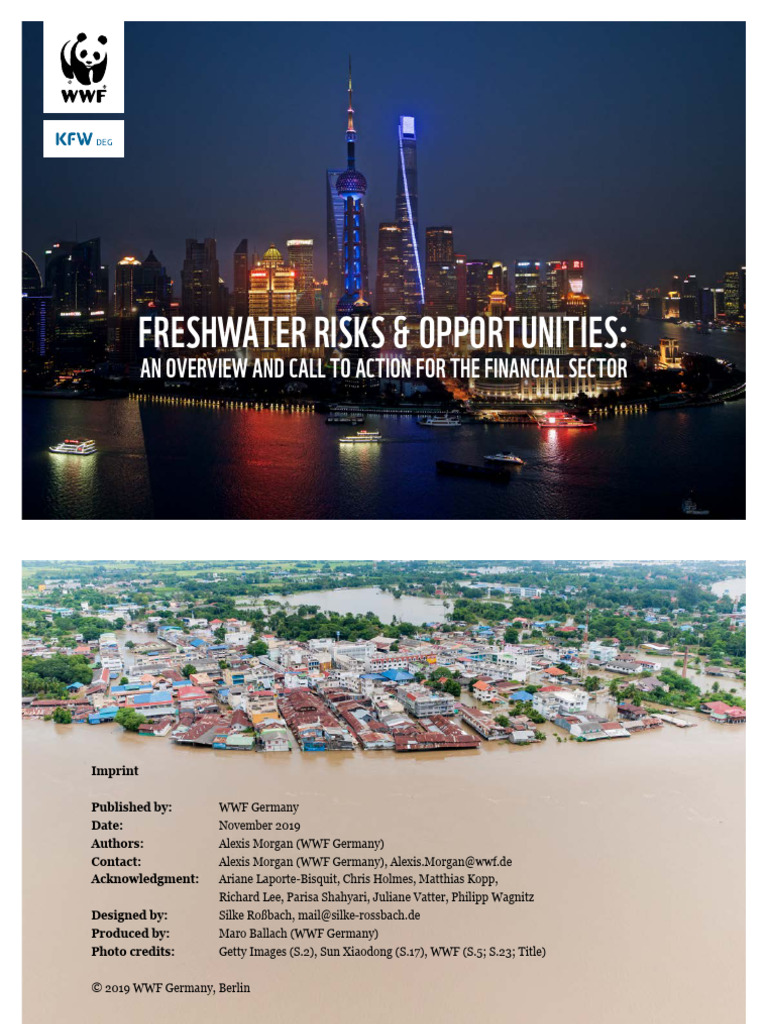 WWF Waterrisk Financialvalue Part4 Keypiece Web | PDF | Risk ...