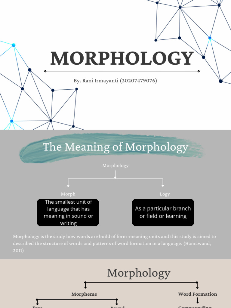 Morphology | PDF | Word | Morphology (Linguistics)