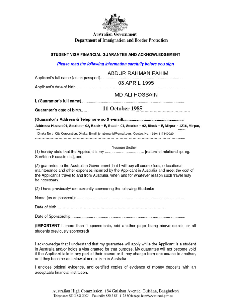 Financial Guarantor Form | PDF | Travel Visa | Justice