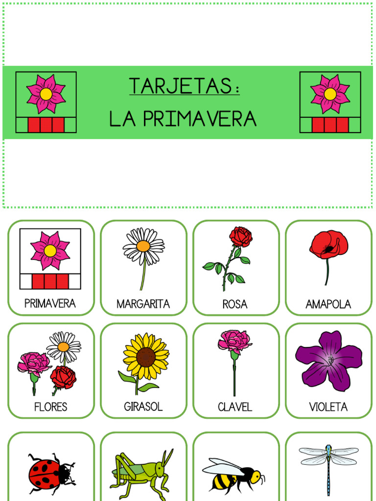 TarjetasVocabulario Primavera | PDF
