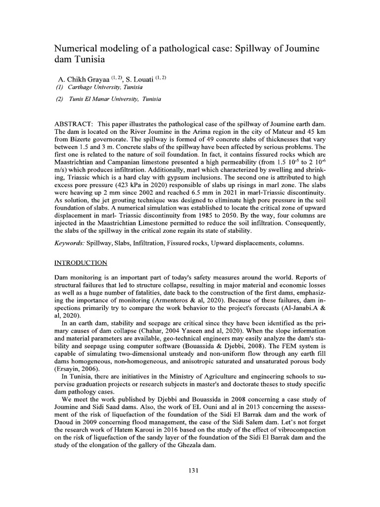 Numerical Modeling of A Pathological Case 2022 | PDF