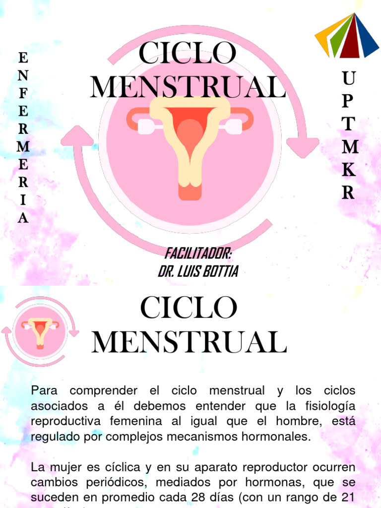 Ciclo Reproductivo - Menstrual. Uptm | PDF | Ciclo menstrual | Ovario