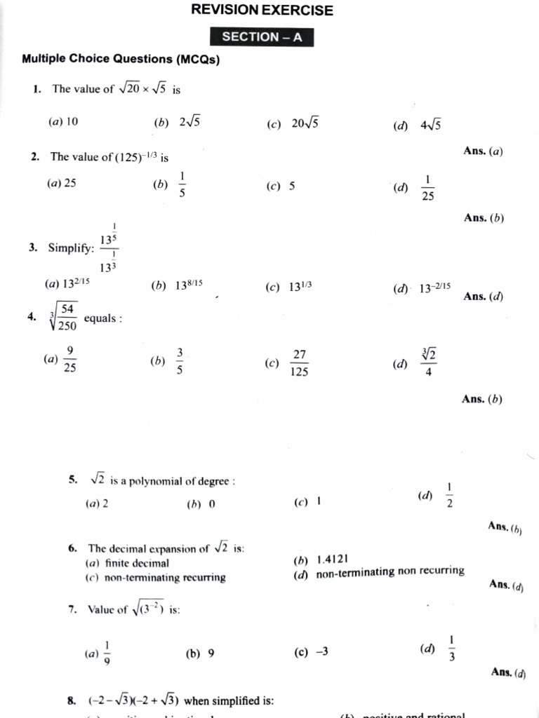 Assignment Number System Class 9 | PDF | Rational Number | Numbers