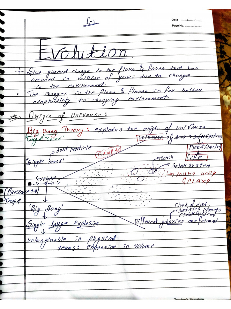 Notes on Evolution chapter class 12 biology Image to PDF 20240320 19.24 ...