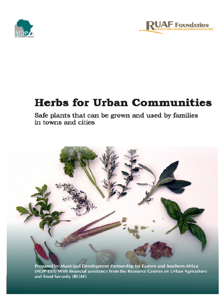 African Herbs: Uses and Cultivation Guide | PDF | Garlic | Pest (Organism)