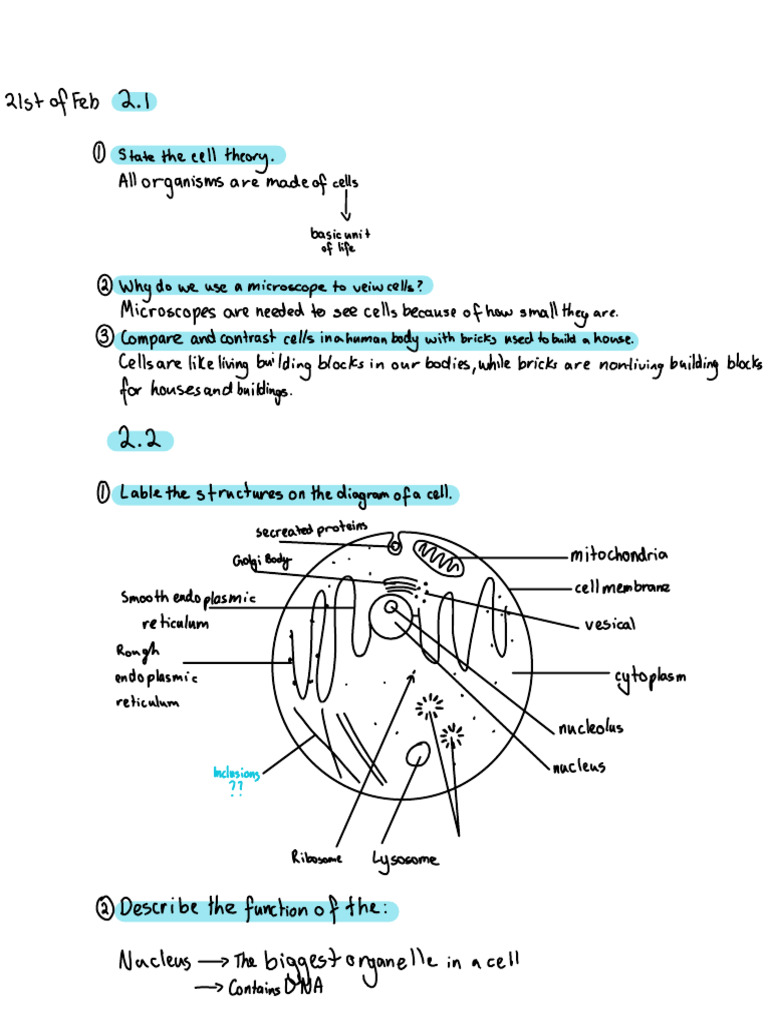 Chapter 2 Questions 2024-03-10 13 - 00 - 51 | PDF | Endoplasmic ...