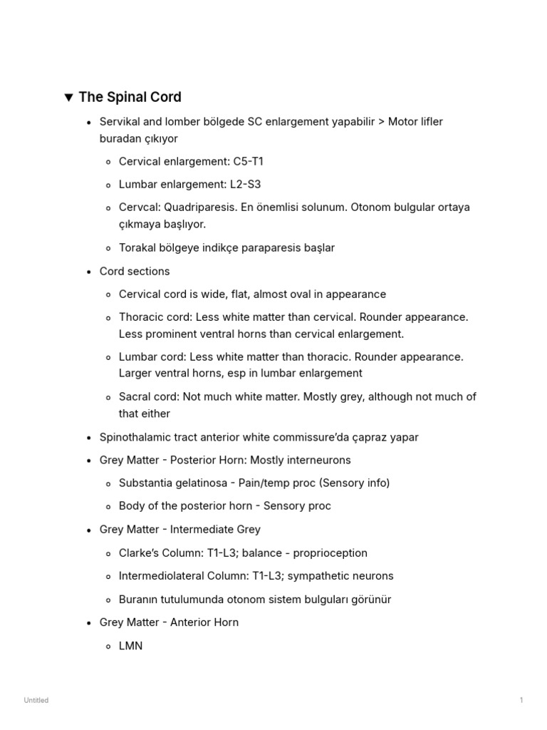 the spinal cord lecture note | PDF | Neuroscience | Nervous System