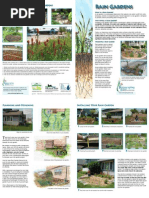Alabama Rain Garden Brochure | PDF | Stormwater | Flood