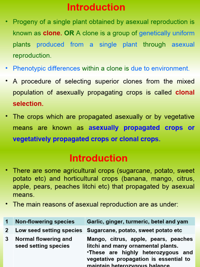 L13 Clonal Selection | PDF | Mutation | Cloning