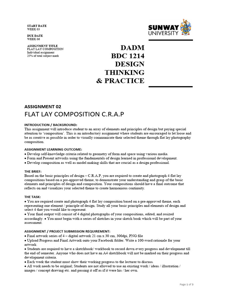 Design Thinking Assignment 02 Bdc - Flat Lay Composition | PDF | Design ...