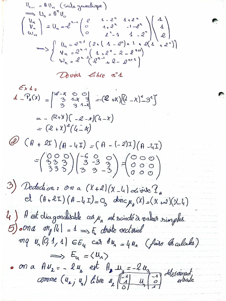 Correction Devoir Libre Algebre | PDF
