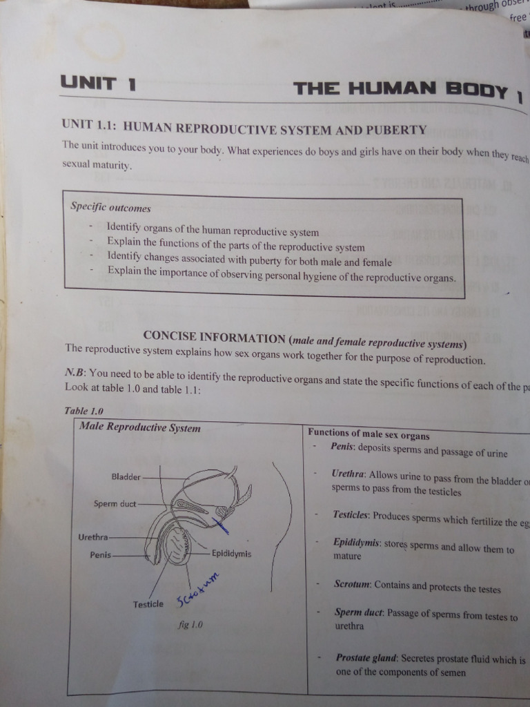 Science Notes Grade 9 and 8 | PDF