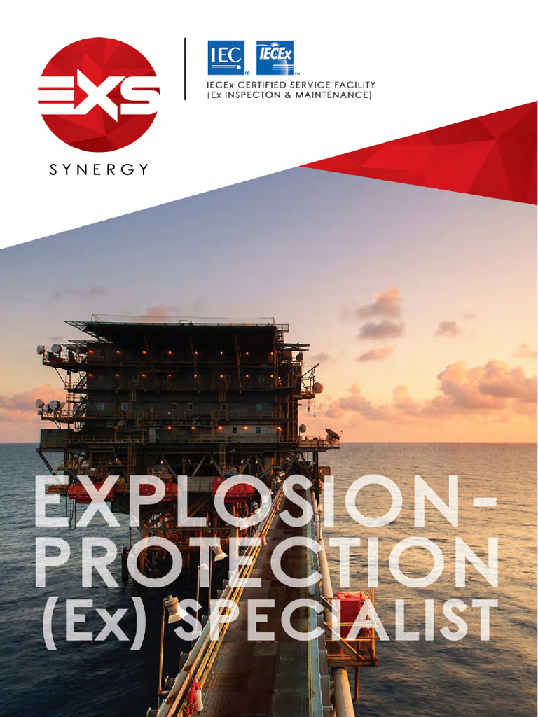 EXS Synergy Brochure | PDF