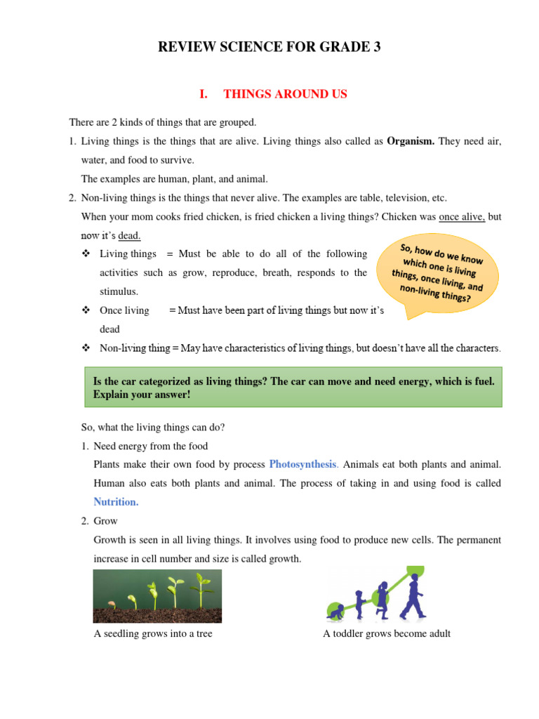 Review Science For Grade 3 | PDF | Moon | Foods